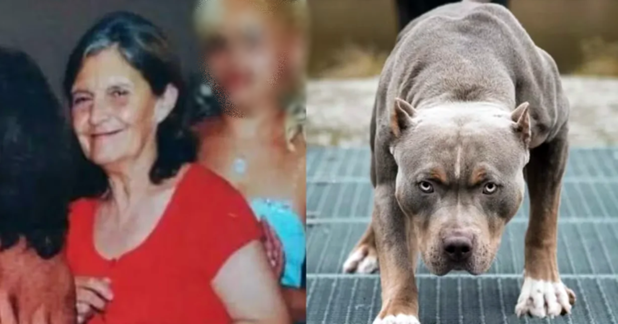 Dolor: Murió la mujer que fue atacada por 5 perros pitbulls hace 2 meses