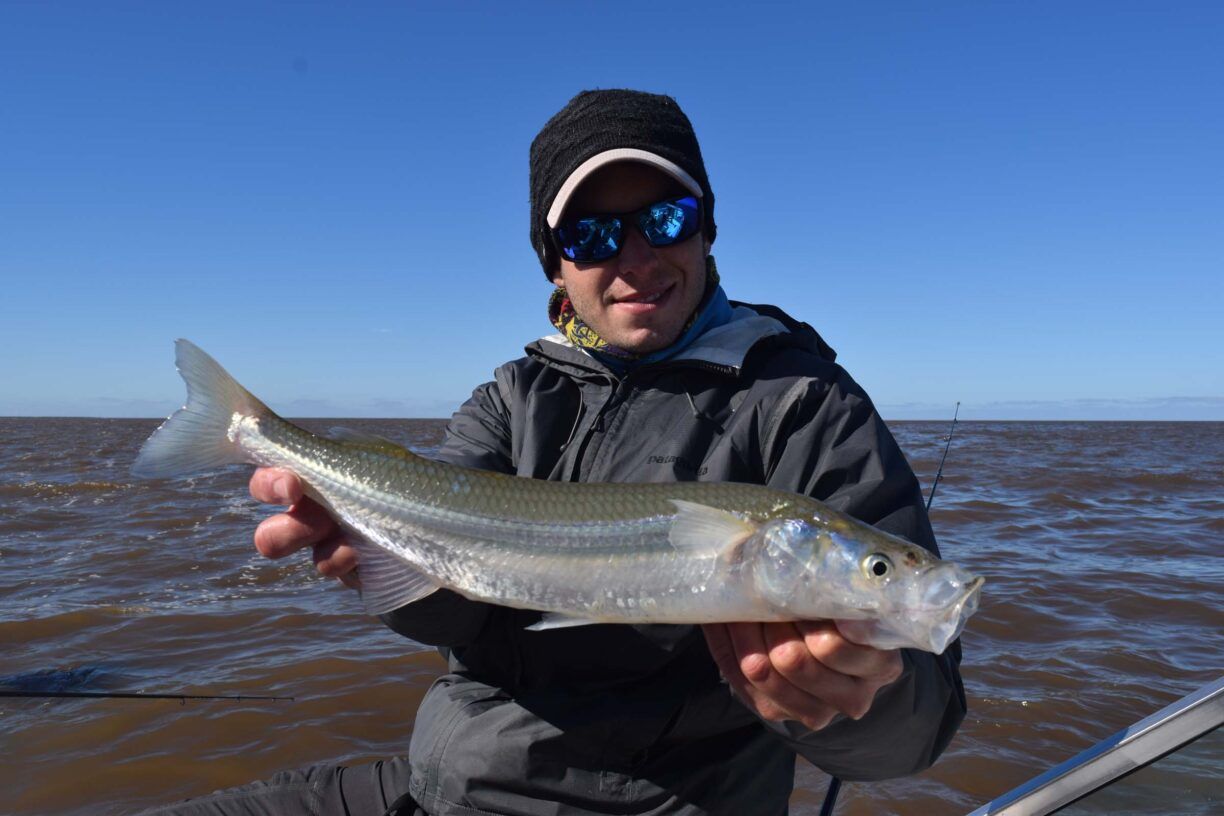 Comenzó la veda de pesca del pejerrey en la provincia de Buenos Aires