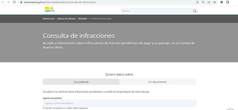 Consultar multas por patente en CABA y Provincia de Buenos Aires