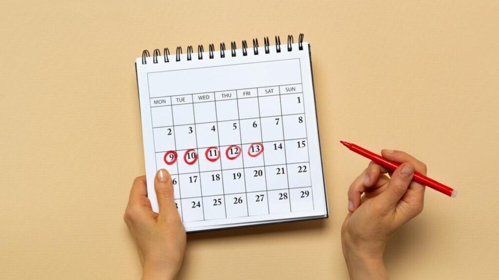 Calculadora de días: ¿Cuántos días han pasado desde una fecha?