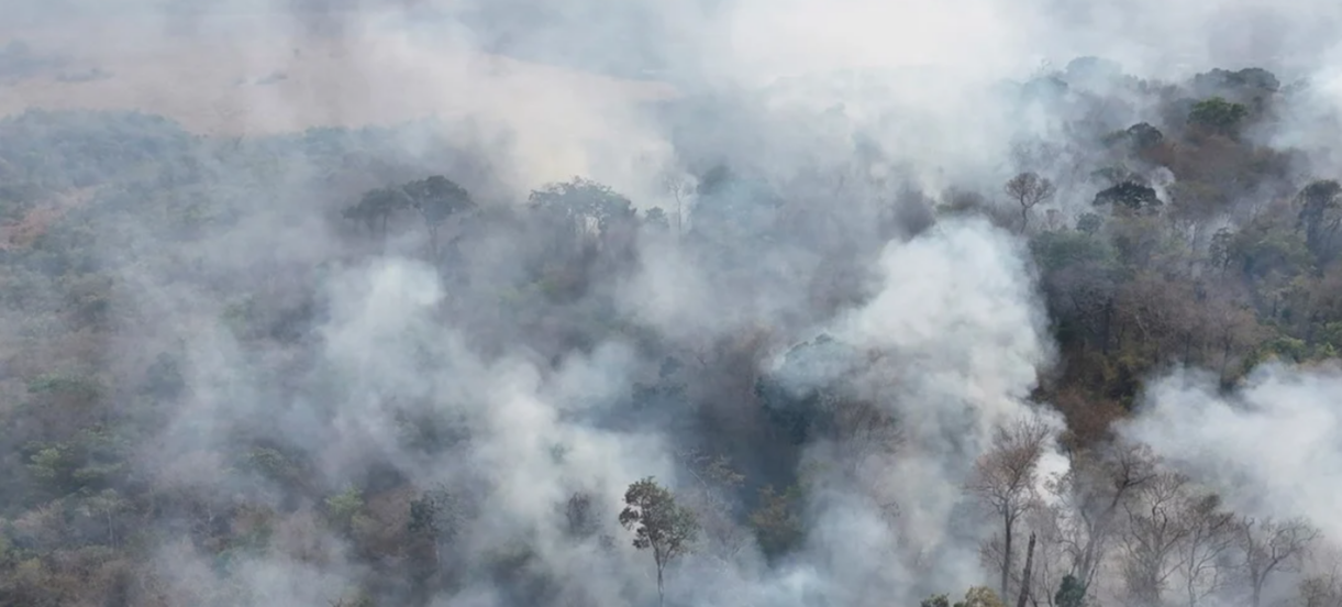 Varios distritos bonaerenses en alerta por la presencia de humo por los ...